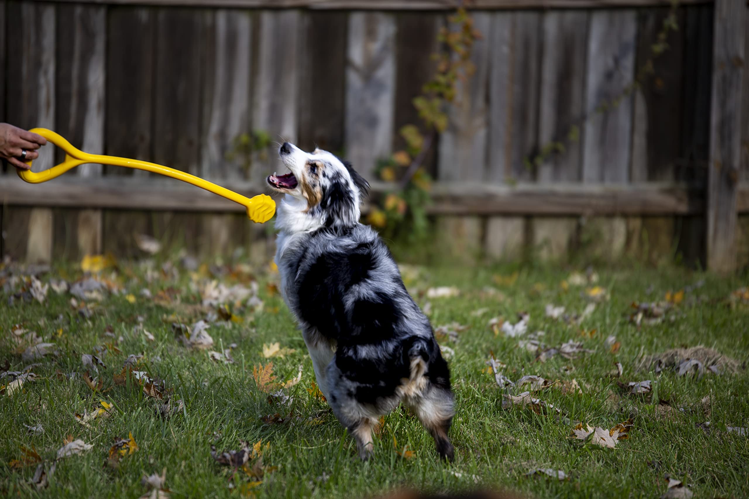 Jersey Dog Co. Ultimate Tug Toy, Tug of War Dog Toy, Made in The USA