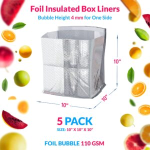 ABC PACK & SUPPLY 5 Pack Silver Foil Insulated Box Liners 10 x 10 x 10 inches. Shipping Boxes for Frozen Food, Odorless Insulated Containers. Leakproof Cold Shipping Boxes for Frozen Fish, Meat