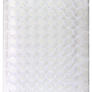 Caplugs Evergreen 222-8636-010 Sterile 96-Well Deep-Well Plates. Polystyrene, Natural, Bag pack (Pack of 20)