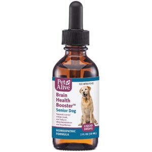 362899 petalive® brain health booster for senior dogs™