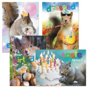 nuts about you birthday greeting cards and matching envelope seals - set of 8 (4 designs), large 5" x 7", happy birthday cards with sentiments inside, seals sold seperately