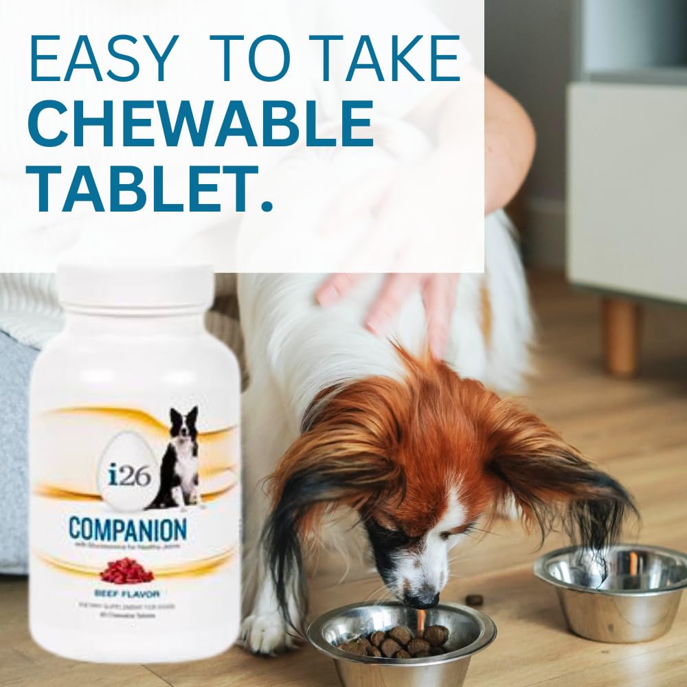 Chewable Dog Nutrition Companion i26 Puppies to Adults - 60 Beef Tabs