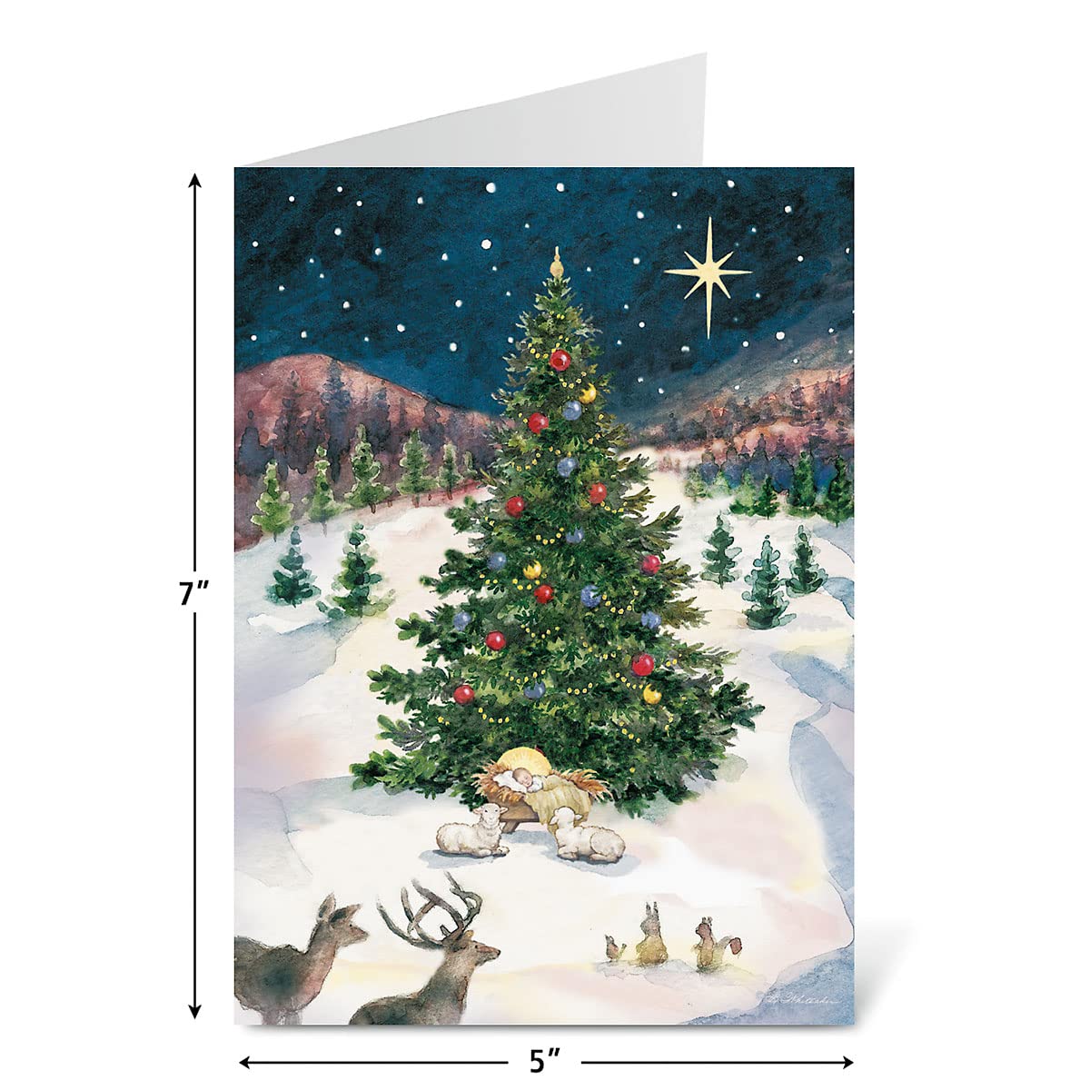 Current Christmas Tree and Manger Greeting Cards Set - Set of 18 Large 5 x 7-Inch Folded Cards, Themed Religious Holiday Card Value Pack, Envelopes Included