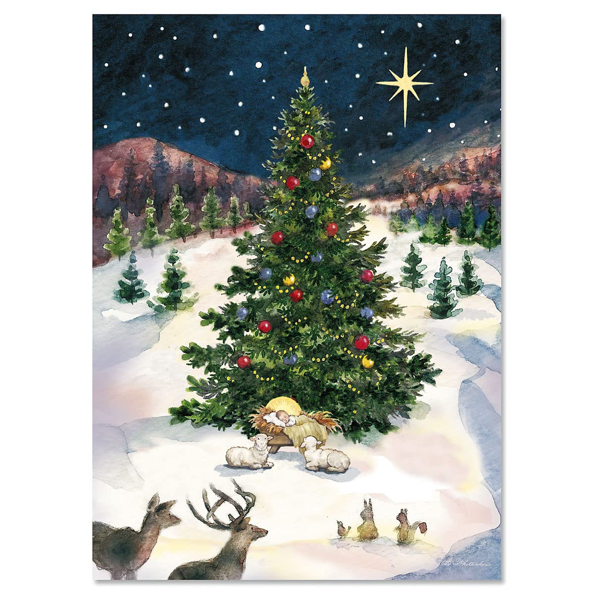 Current Christmas Tree and Manger Greeting Cards Set - Set of 18 Large 5 x 7-Inch Folded Cards, Themed Religious Holiday Card Value Pack, Envelopes Included