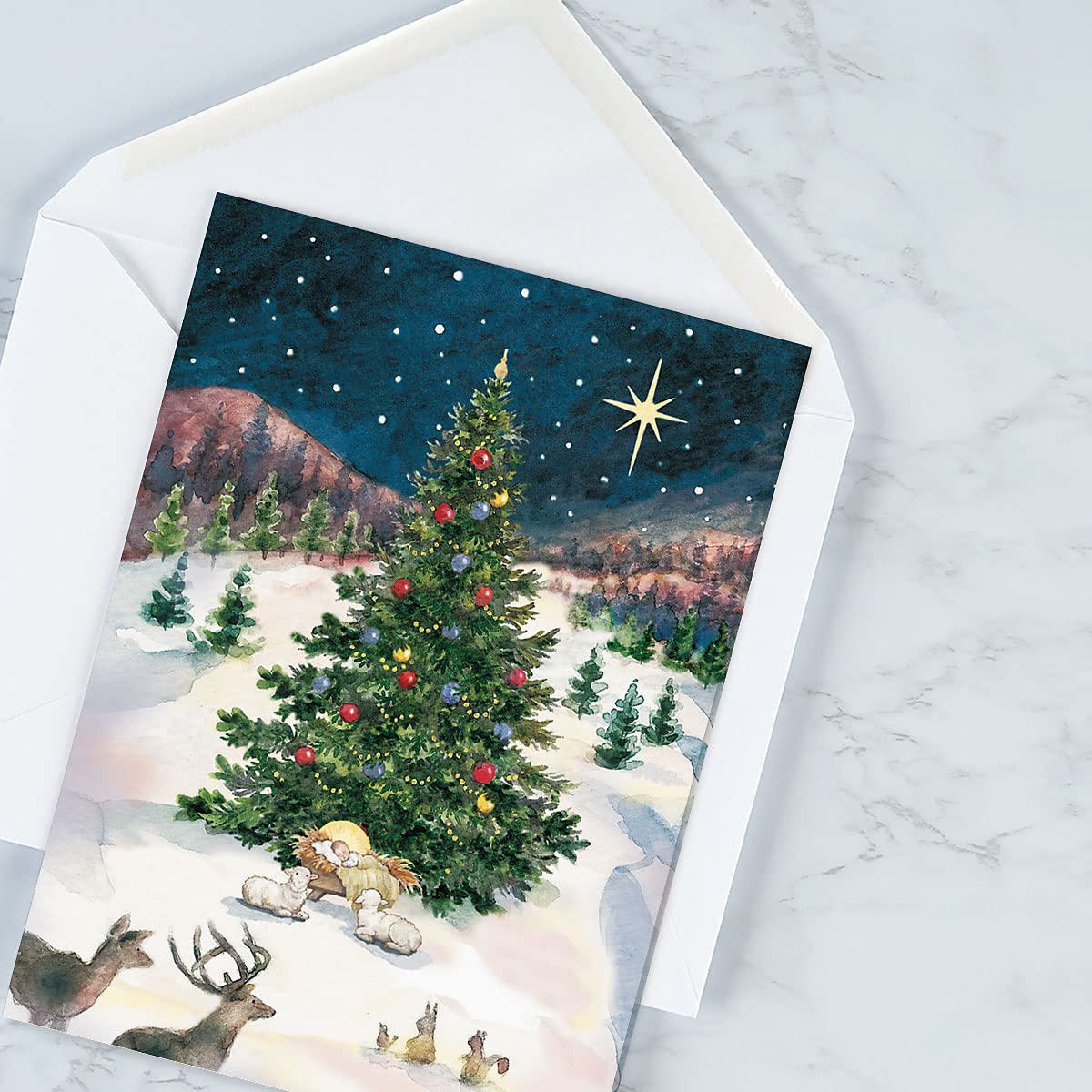 Current Christmas Tree and Manger Greeting Cards Set - Set of 18 Large 5 x 7-Inch Folded Cards, Themed Religious Holiday Card Value Pack, Envelopes Included