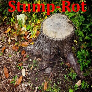 stump rot