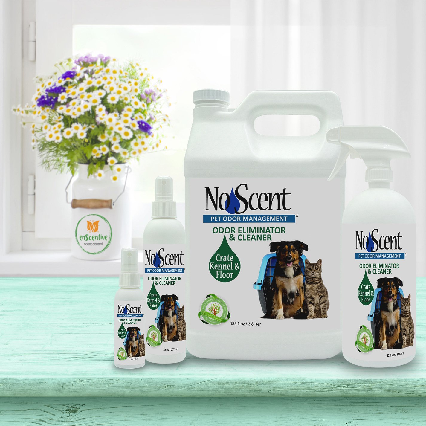 No Scent Crate Kennel & Floor Probiotic Cleaner Spray for Dog Cat Pet Odor Stains (8 Fl Oz / 237 mL)