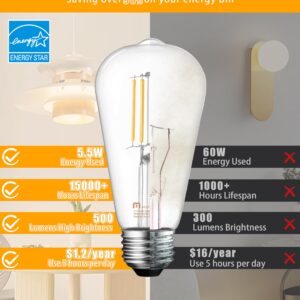 MASTERY MART 10 Pack Vintage LED Edison Bulbs, E26 Led Bulb 5.5W Equivalent to 60W, Dimmable, Soft White 2700K, High Brightness ST58 Antique LED Filament Bulbs, Clear Glass