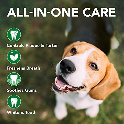 Vets Best Triple Headed Toothbrush for Dogs - Teeth Cleaning and Fresh Breath