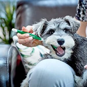 Vets Best Triple Headed Toothbrush for Dogs - Teeth Cleaning and Fresh Breath