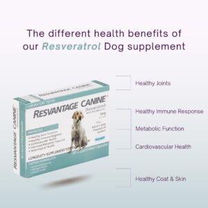 RESVANTAGE Overall Canine Health