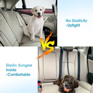 SlowTon Dog Seat Belt for Car, 2 Pack Dog Car Harness Seatbelt Adjustable with Elastic Bungee Buffer, 2 in 1 Pet Car Leash Headrest Restraint Dog Reflective Safety Tether (Black, Headrest)