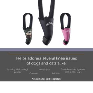 WALKABOUT Knee Brace (Small Left (7-9")