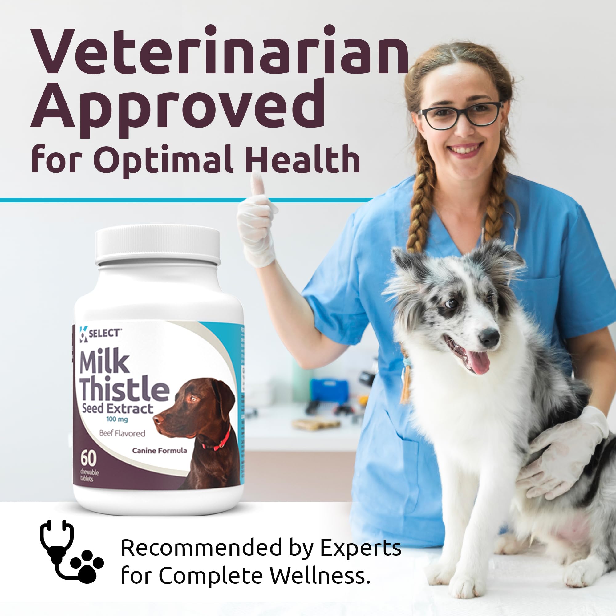 K9 Select Milk Thistle for Dogs, 100mg - 60 Beef Flavored Tablets - Canine Liver Health Natural Milk Thistle Supplement - Liver Supplement - Liver Support Supplement - Milk Thistle Herbal Supplements