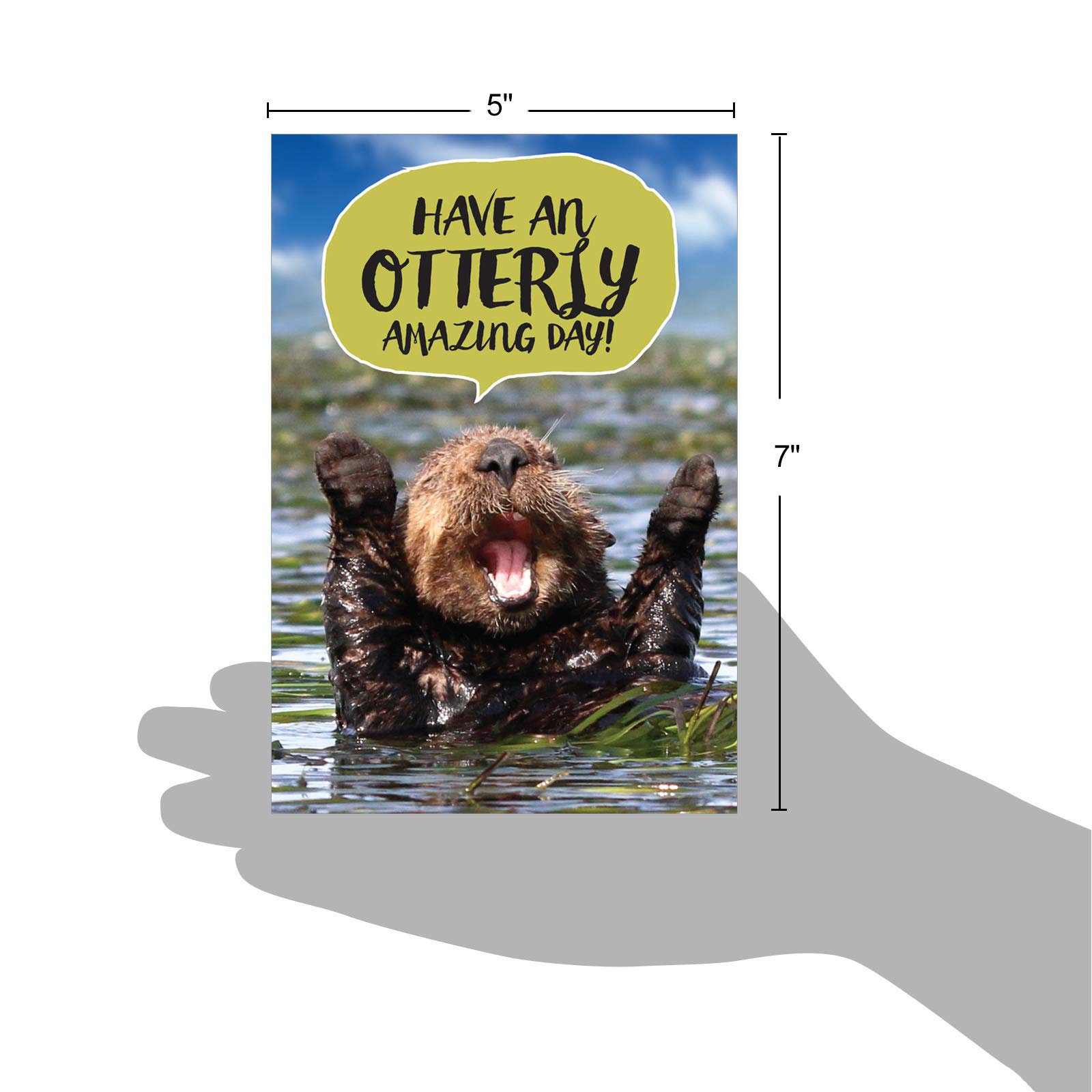 NobleWorks - Funny Happy Birthday Note Card with Envelope (4.63 x 6.75 Inch) - Cute River Otter, Animal Stationery for Kids, Adult - Adorable Congrats Gift for B-day - Otterly Awesome C6574ABDG