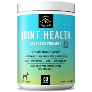 glucosamine for dogs - advanced dog hip & joint supplement with chondroitin & hyaluronic acid - 60 soft joint health chews - made in usa