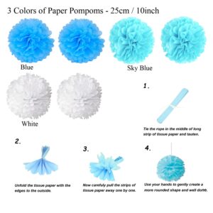 ZERODECO Birthday Decoration Set, Happy Birthday Banner Bunting with 4 Paper Fans Tissue 6 Paper Pom Poms Flower 10 Hanging Swirl and 20 Balloon for Birthday Party Decorations -Blue,Sky Blue and White