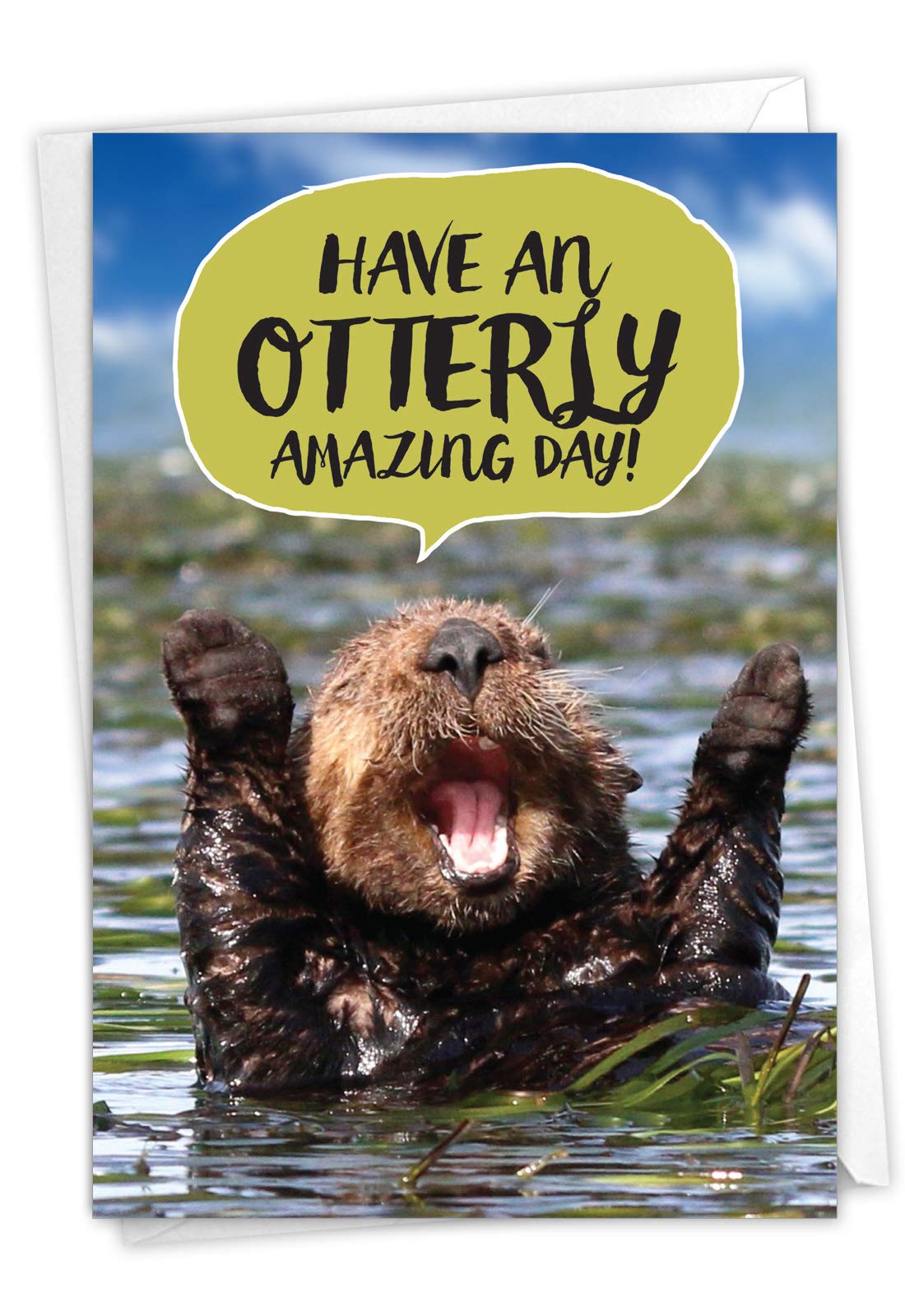 NobleWorks - Funny Happy Birthday Note Card with Envelope (4.63 x 6.75 Inch) - Cute River Otter, Animal Stationery for Kids, Adult - Adorable Congrats Gift for B-day - Otterly Awesome C6574ABDG