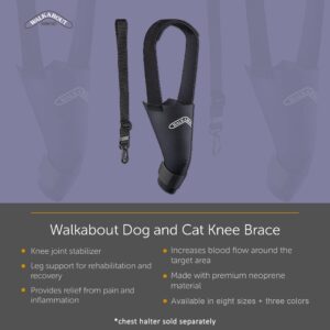 WALKABOUT Knee Brace (Small Left (7-9")