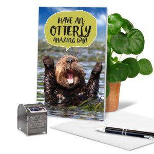 NobleWorks - Funny Happy Birthday Note Card with Envelope (4.63 x 6.75 Inch) - Cute River Otter, Animal Stationery for Kids, Adult - Adorable Congrats Gift for B-day - Otterly Awesome C6574ABDG