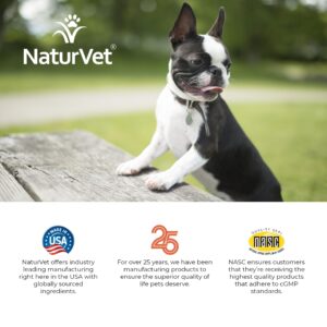 NaturVet – Advanced Probiotics & Enzymes - Plus Vet Strength PB6 Probiotic | Supports and Balances Pets with Sensitive Stomachs & Digestive Issues | for Dogs & Cats (4 oz)