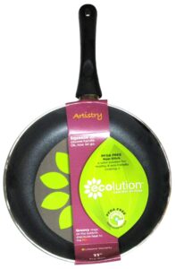 ecolution eabk-5128 11" ecolution artistry fry pan