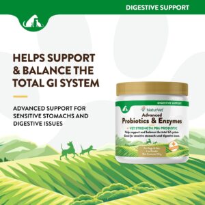 NaturVet – Advanced Probiotics & Enzymes - Plus Vet Strength PB6 Probiotic | Supports and Balances Pets with Sensitive Stomachs & Digestive Issues | for Dogs & Cats (4 oz)