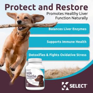 K9 Select Milk Thistle for Dogs, 100mg - 60 Beef Flavored Tablets - Canine Liver Health Natural Milk Thistle Supplement - Liver Supplement - Liver Support Supplement - Milk Thistle Herbal Supplements