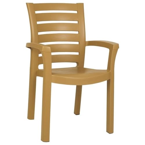 Compamia Marina Patio Dining Arm Chair in Teak Brown (Set of 2)