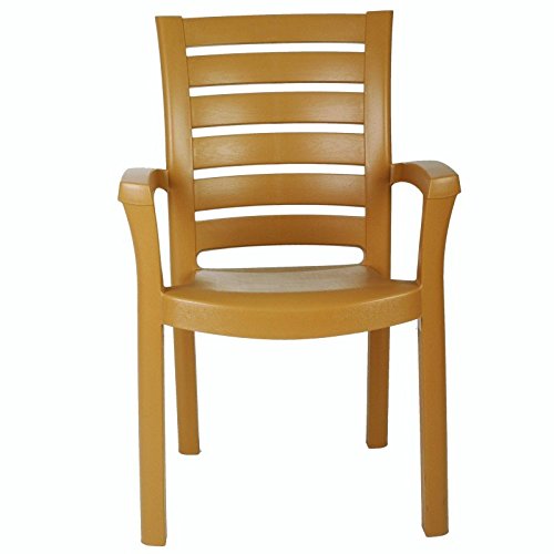 Compamia Marina Patio Dining Arm Chair in Teak Brown (Set of 2)