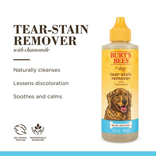 Burt's Bees for Dogs Natural Tear Stain Remover for Dogs with Chamomile | Calming and Effective Puppy & Dog Tear Stain Remover | Cruelty Free, Sulfate & Paraben Free- Made in USA, 4 oz - 2 Pack