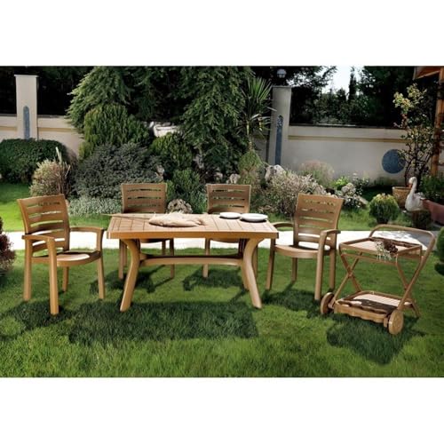 Compamia Marina Patio Dining Arm Chair in Teak Brown (Set of 2)