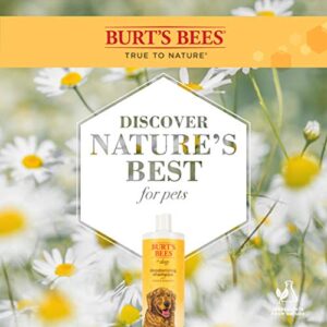 Burt's Bees for Dogs Natural Tear Stain Remover for Dogs with Chamomile | Calming and Effective Puppy & Dog Tear Stain Remover | Cruelty Free, Sulfate & Paraben Free- Made in USA, 4 oz - 2 Pack