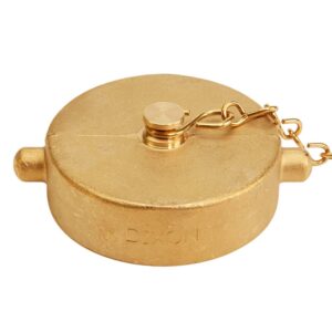 brass pin lug 2 1/2" nh cap with chain