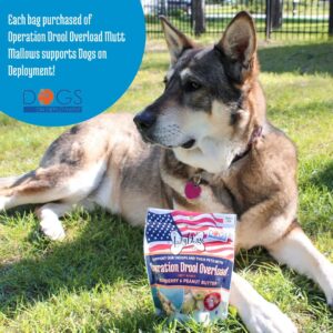 The Lazy Dog Cookie Co. Soft Dog Treats, Operation Drool Overload, Patriotic Dog Cookies for Small, Medium and Large Dogs, Wheat-Free, Baked in The USA, 5 oz. (Pack of 1)