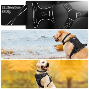 WINSEE Dog Harness No Pull, Pet Harnesses with Dog Collar, Adjustable Reflective Oxford Outdoor Vest, Front/Back Leash Clips for Small, Medium, Large, Extra Large Dogs, Easy Control Handle for Walking