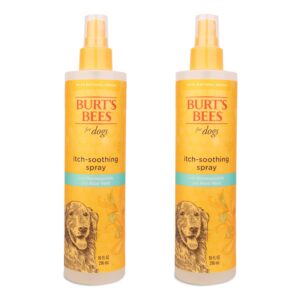 burt's bees for pets naturally derived itch soothing spray with honeysuckle - best anti-itch spray for dogs with itchy skin - cruelty free, formulated without sulfates and parabens, 10 fl oz - 2 pack