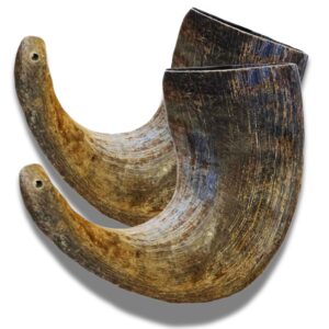 whitetail naturals - water buffalo horns for dogs (2 pack large) all-natural dog bone - long lasting chew bone for aggressive chewers and teething puppies