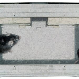 iTrap iTrap-002-S4-3PK Multi-Catch Clear Top Humane Repeater Mouse Trap, Set of 3