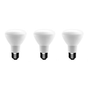 EcoSmart 75-Watt Equivalent R20 Dimmable LED Light Bulb Daylight (3-Pack)