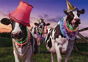 party cows avanti funny/humorous birthday card