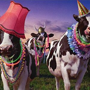 Party Cows Avanti Funny/Humorous Birthday Card