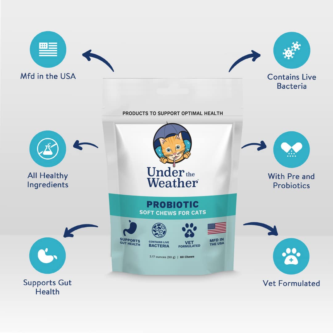 Under the Weather Pet Natural Probiotics for Cats | 60 Bite Size Soft Chews Cat Multivitamins and Treats Filled with Good Bacteria | Promotes Healthy Digestion, Appetite and Strong Immune Support