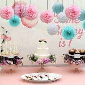 Teal Party Supplies for Bridal Baby Shower First Birthday Party Wedding Decorations (16pcs) Paper Honeycomb Ball Pom Poms Flowers Paper Lanterns Hanging Tissue Fan