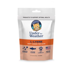 under the weather pet daily cat l-lysine | 60 bite size soft chews for cats |vet formulated, all natural, amino acid support for felines | maintain normal immune system response