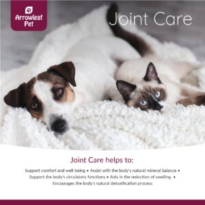 Arrowleaf Pet Joint Care by NaturPet Inc for Dogs and Cats | Contains Turmeric | Mobility | 100mL Herbal Tincture