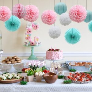 Teal Party Supplies for Bridal Baby Shower First Birthday Party Wedding Decorations (16pcs) Paper Honeycomb Ball Pom Poms Flowers Paper Lanterns Hanging Tissue Fan