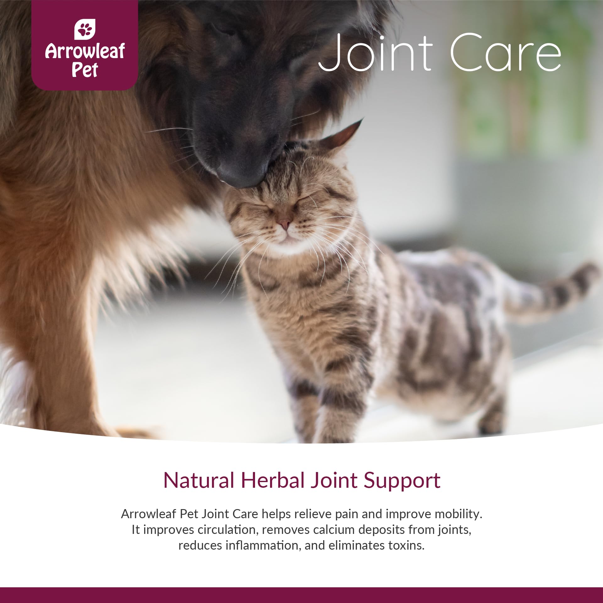 Arrowleaf Pet Joint Care by NaturPet Inc for Dogs and Cats | Contains Turmeric | Mobility | 100mL Herbal Tincture