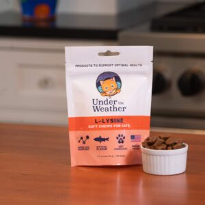 Under the Weather Pet Daily Cat L-Lysine | 60 Bite Size Soft Chews for Cats |Vet Formulated, All Natural, Amino Acid Support for Felines | Maintain Normal Immune System Response