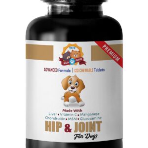 Dog Joint Supplement Chews - Premium Hip and Joint Complex - Dog Treats - Healthy Formula - chondroitin Dogs - 120 Treats (1 Bottle)